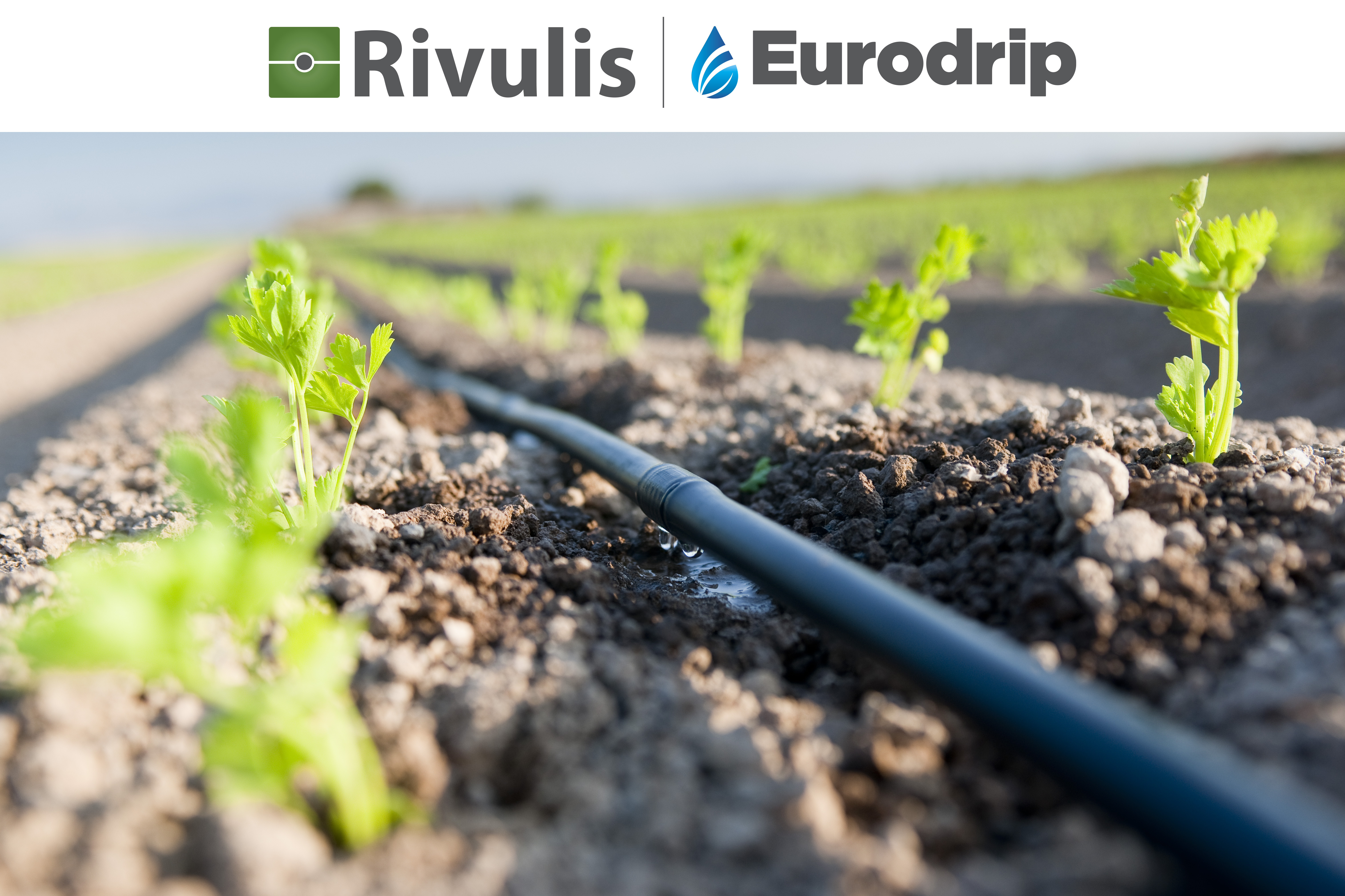 Eurodrip Irrigation