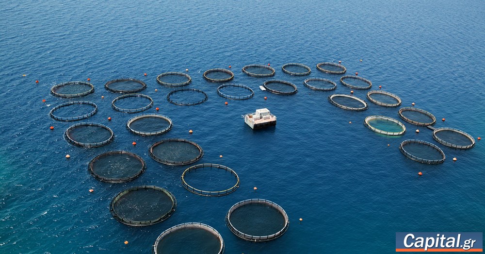 Νηρέας - Σελόντα: Η επόμενη ημέρα και η Amerra | Capital