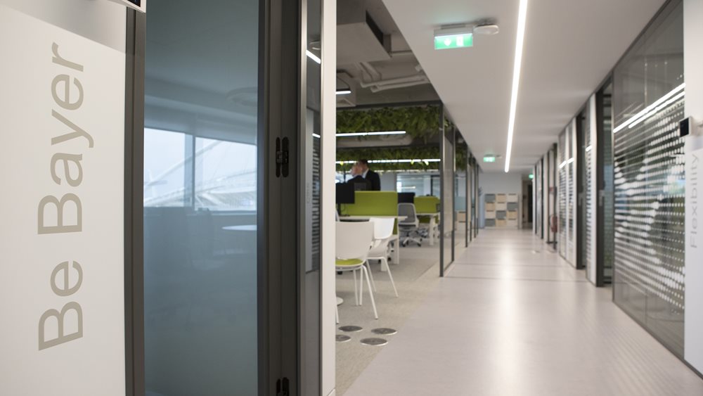 Bayer Ελλάς: Συνεργασία, συμπερίληψη και βιωσιμότητα στον πυρήνα της...